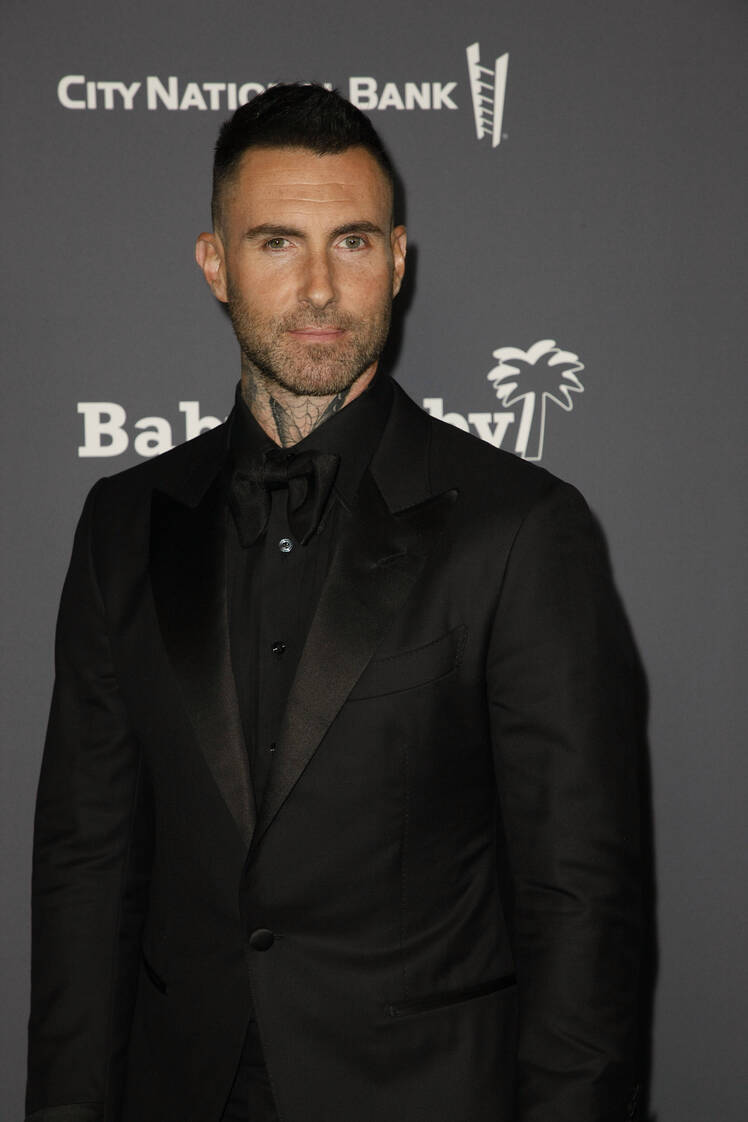 Adam Levine Breaks Silence on Cheating Allegations, Denies Affair: ‘I ...